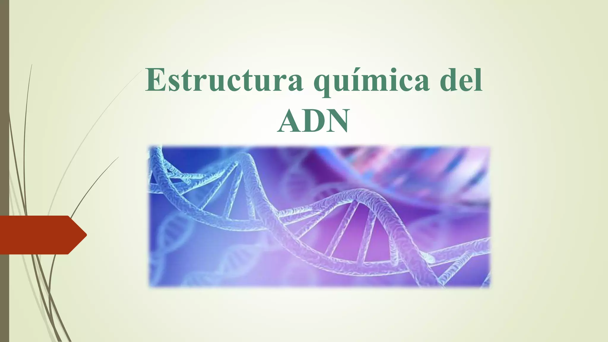 Estructura química del ADN.pptx