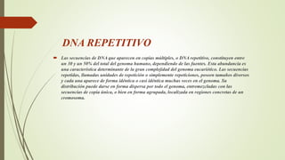Estructura química del ADN.pptx