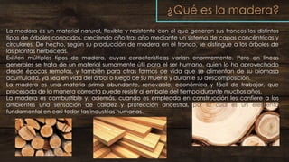 Estructuras IV - Madera | PPTX