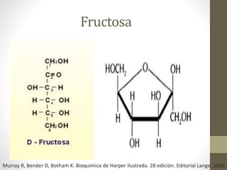 Estructuras de-fischer-y-haworth-1 | PPTX
