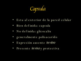 Estructuras Filamentosas Y Capsula | PPT