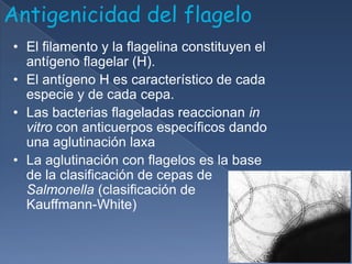 Estructuras bacterianas (flagelo, pili y fimbrias) | PPTX