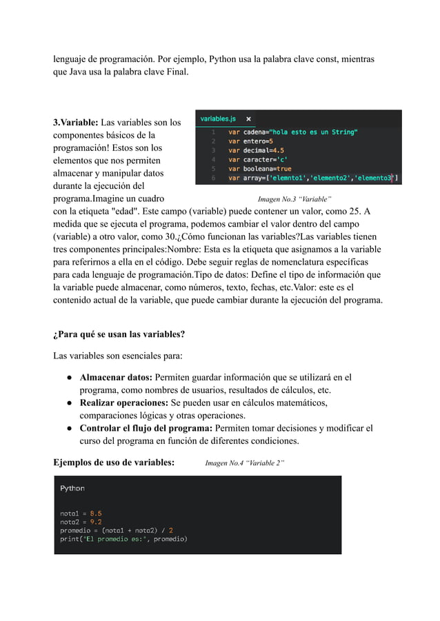 Estructuras básicas_ conceptos básicos de programación.pdf