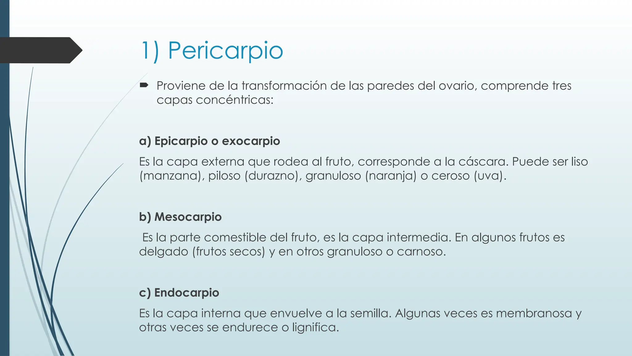 ESTRUCTURAS DEL FRUTO Y PARTES DE LA FRUTA .pptx