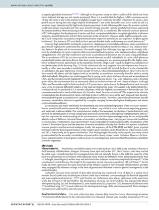 ESTRUCTURAS DE LOS FLAVONOIDES.pdf