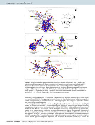 ESTRUCTURAS DE LOS FLAVONOIDES.pdf