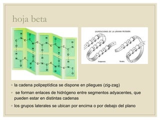 Estructura secundaria | PPTX