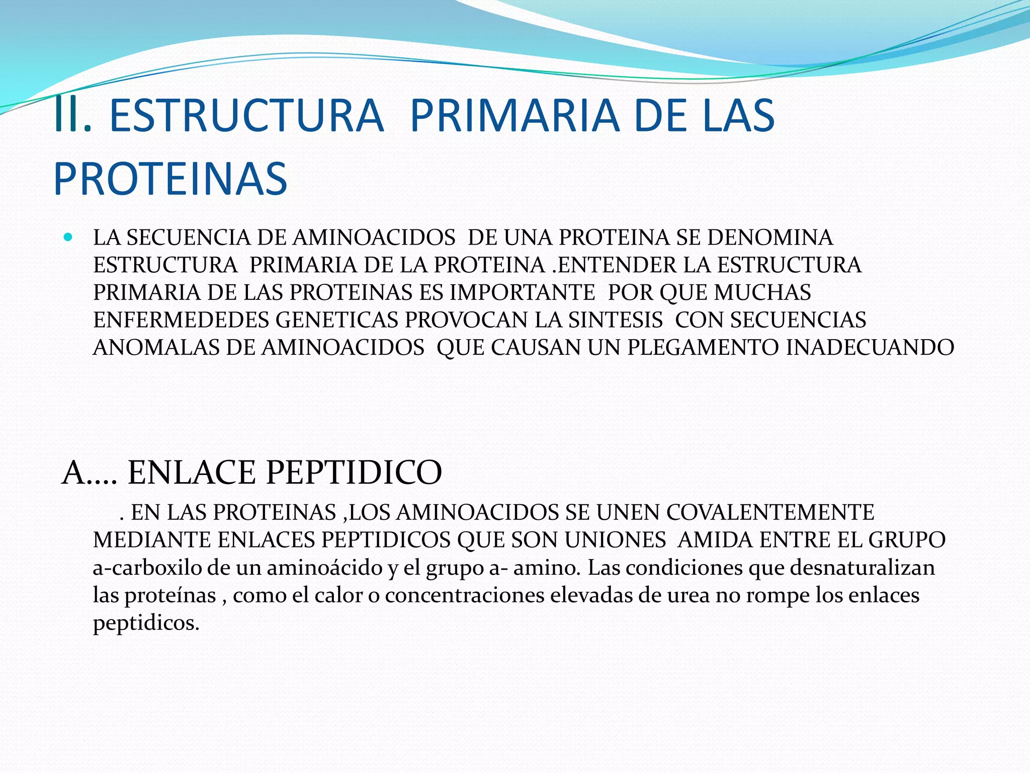 Estructura secundaria de las proteinas | PPTX | Genetics | Science
