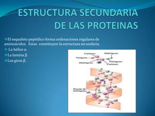 Estructura secundaria de las proteinas | PPTX