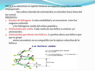 Estructura secundaria de las proteinas | PPTX
