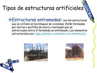Estructuras grado 6 | PPTX