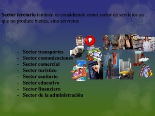 Estructura social economica | PPTX