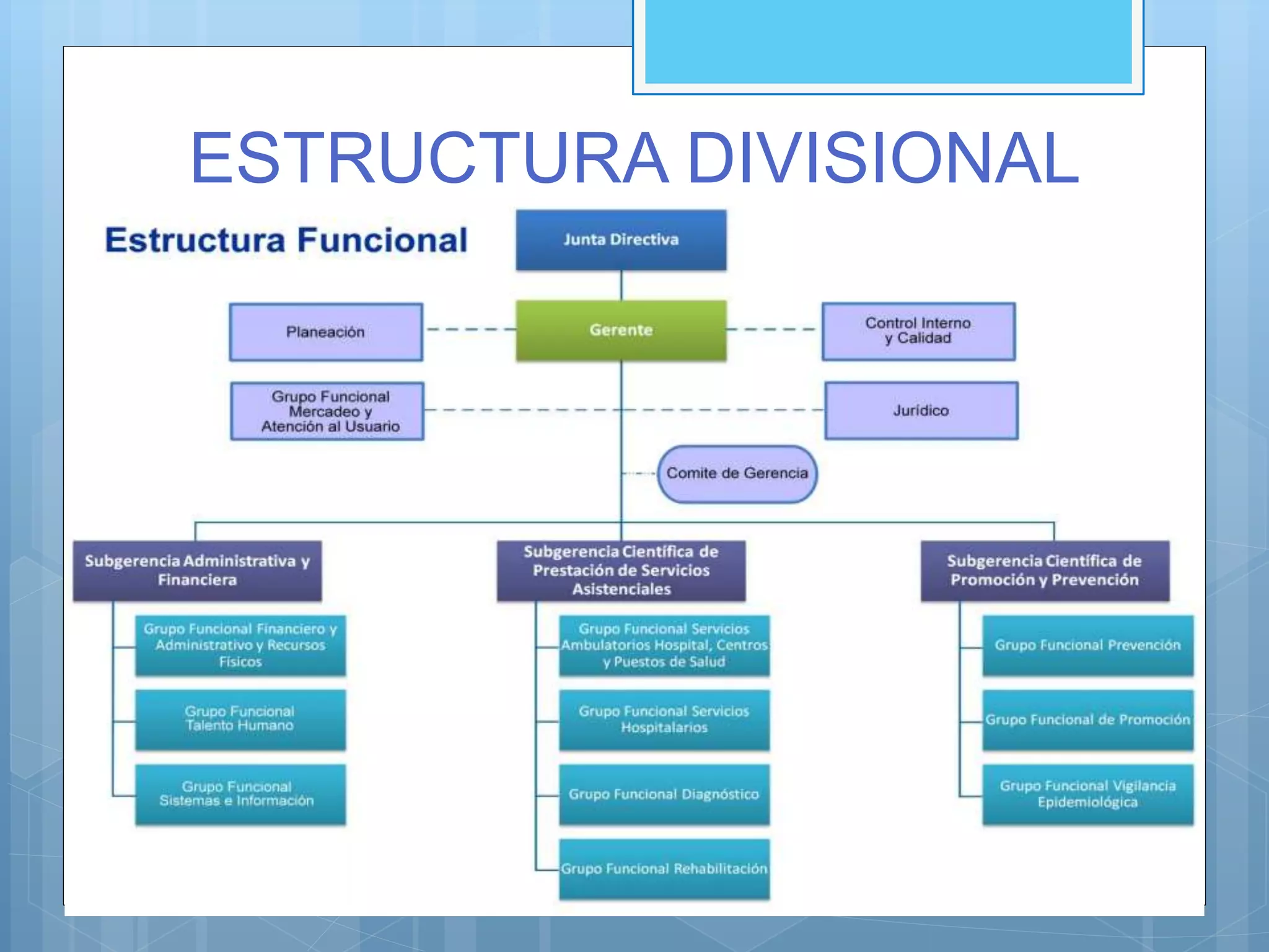 ESTRUCTURAS ORGANIZACIONALES | PPTX