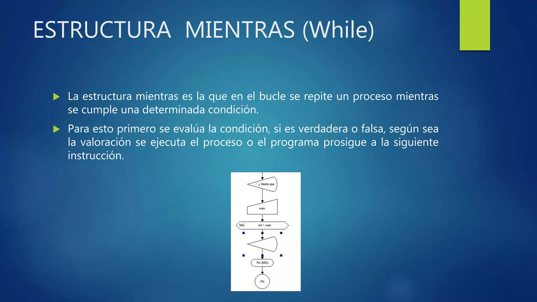 Estructuras repetitivas | PPTX | Programming Languages | Computing