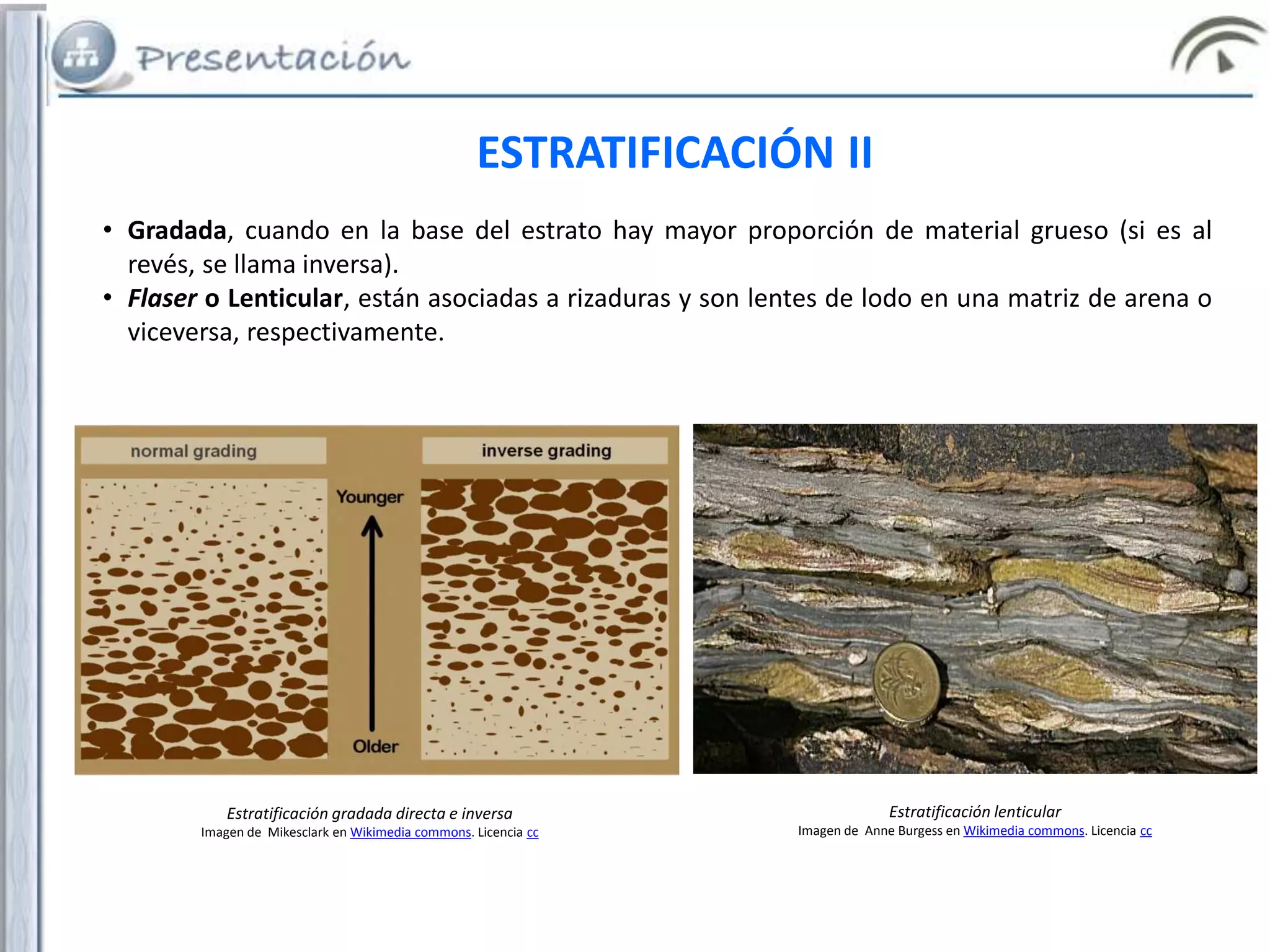 Estructuras sedimentarias | PPTX