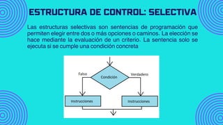ESTRUCTURAS SELECTIVAS (1).pdf
