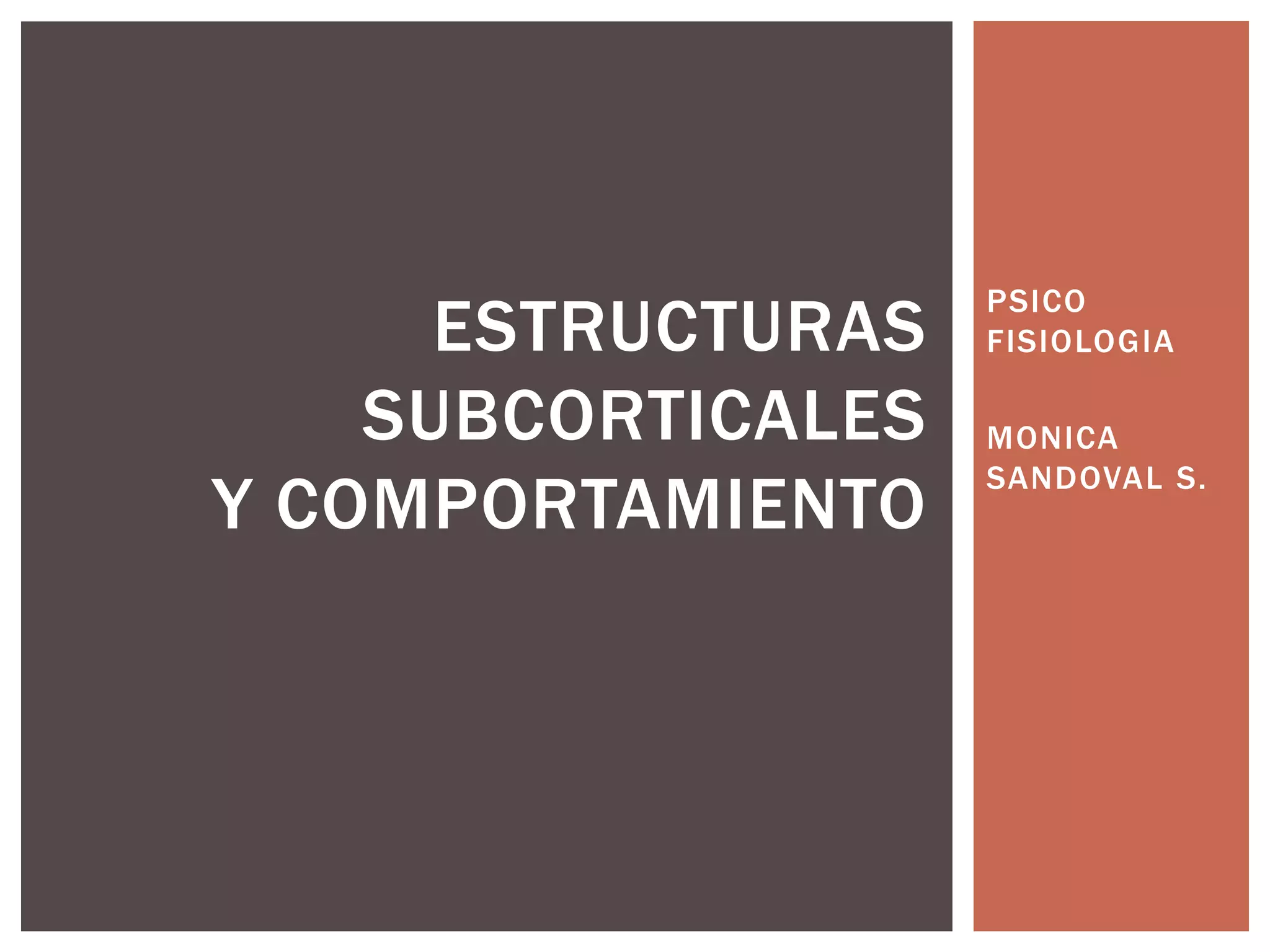 Estructuras Subcorticales | PPTX