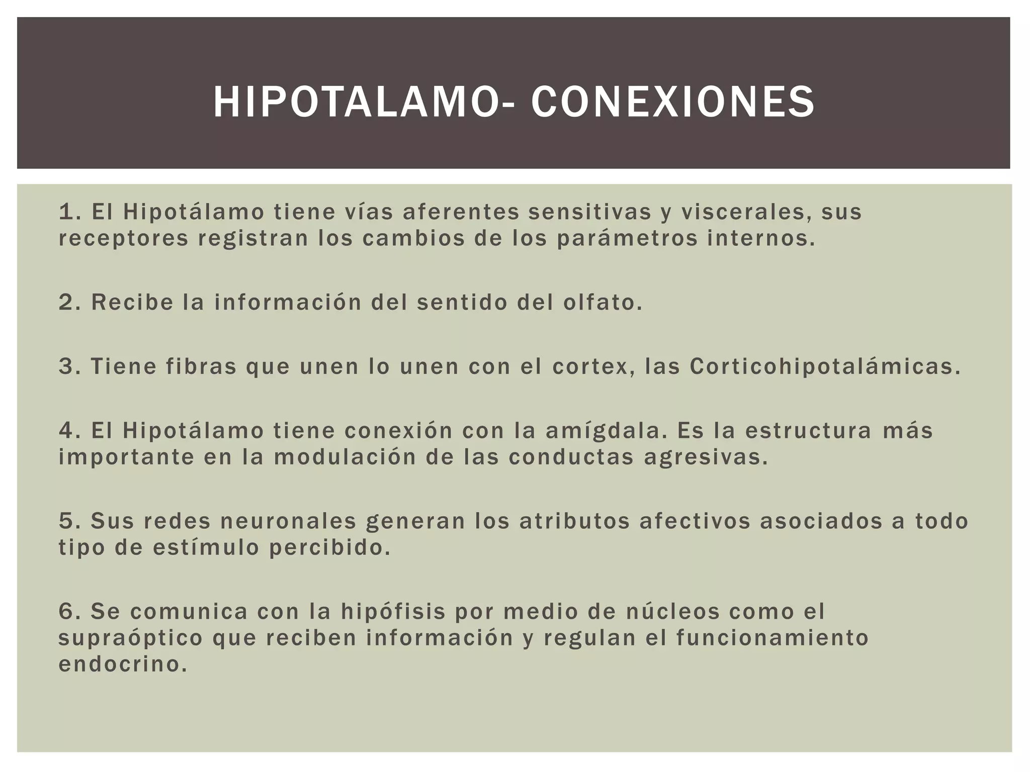 Estructuras Subcorticales | PPTX