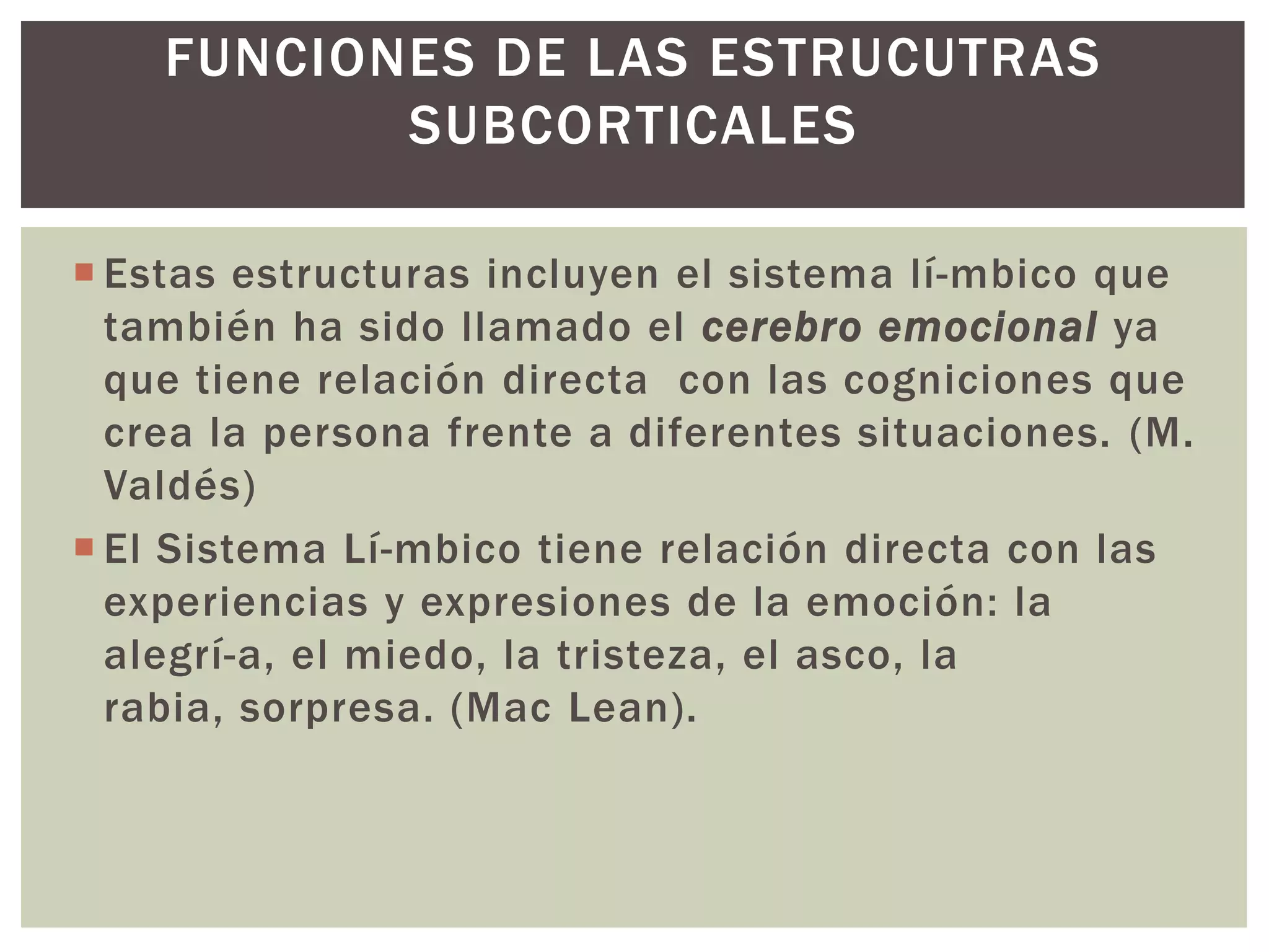 Estructuras Subcorticales | PPTX