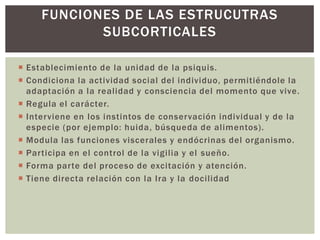 Estructuras Subcorticales | PPTX