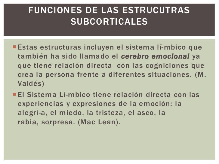 Neuroanatomia Estructuras Corticales Y Subcorticales Cátedra De