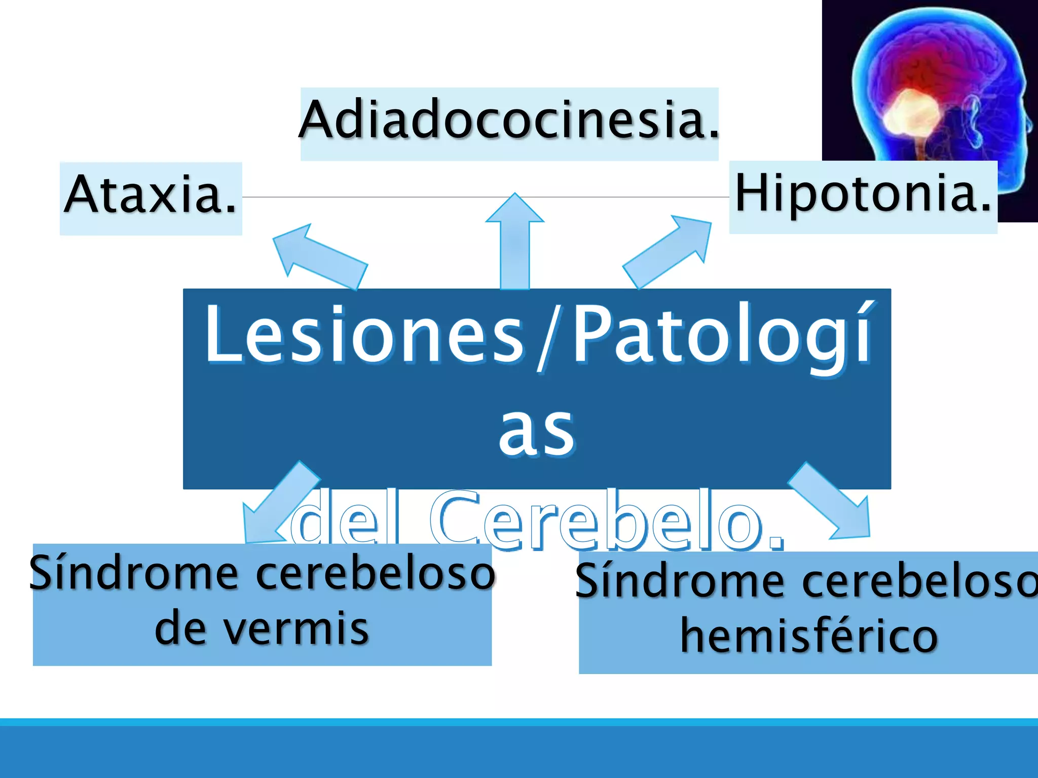 Estructuras subcorticales | PPTX