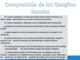 Estructuras subcorticales | PPTX