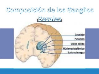 Estructuras subcorticales | PPTX