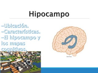 Estructuras subcorticales | PPTX