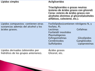 Estructura y clasificación de los lípidos | PPTX