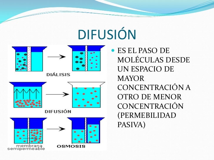 Estructura y función celular