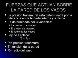 Estructura y funcion sistema cardiovascular | PPT