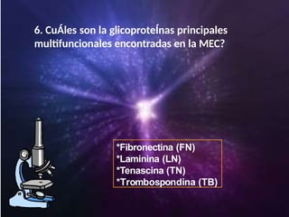 Estructura y Funcion de la MAtriz Extracelular.pptx