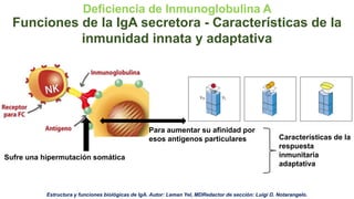 Estructura y funciones biológicas de IgA | PPTX