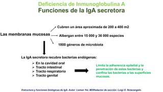 Estructura y funciones biológicas de IgA | PPTX