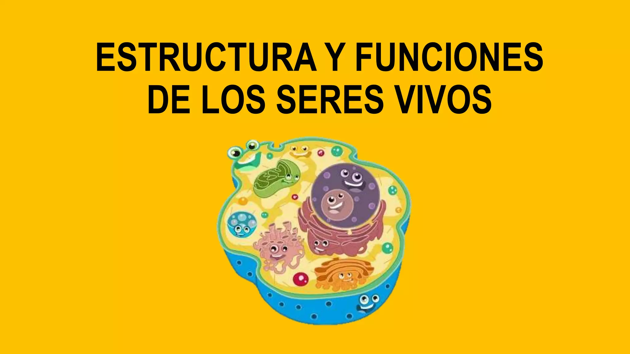 Estructura y funciones de los seres vivos | PPT