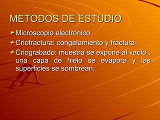 Estructurayfuncionmembrana | PPT