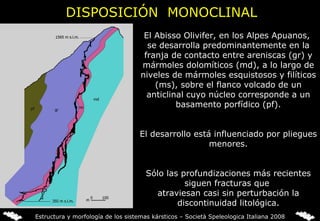 Estructura y morfologia | PPT