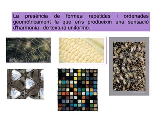 Estructures Modulars | PPT