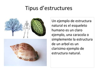 Estructures naturals | ODP