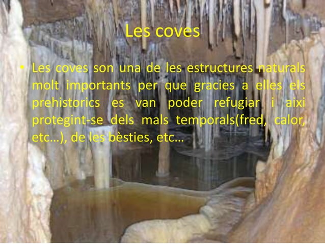 Estructures naturals | PPT