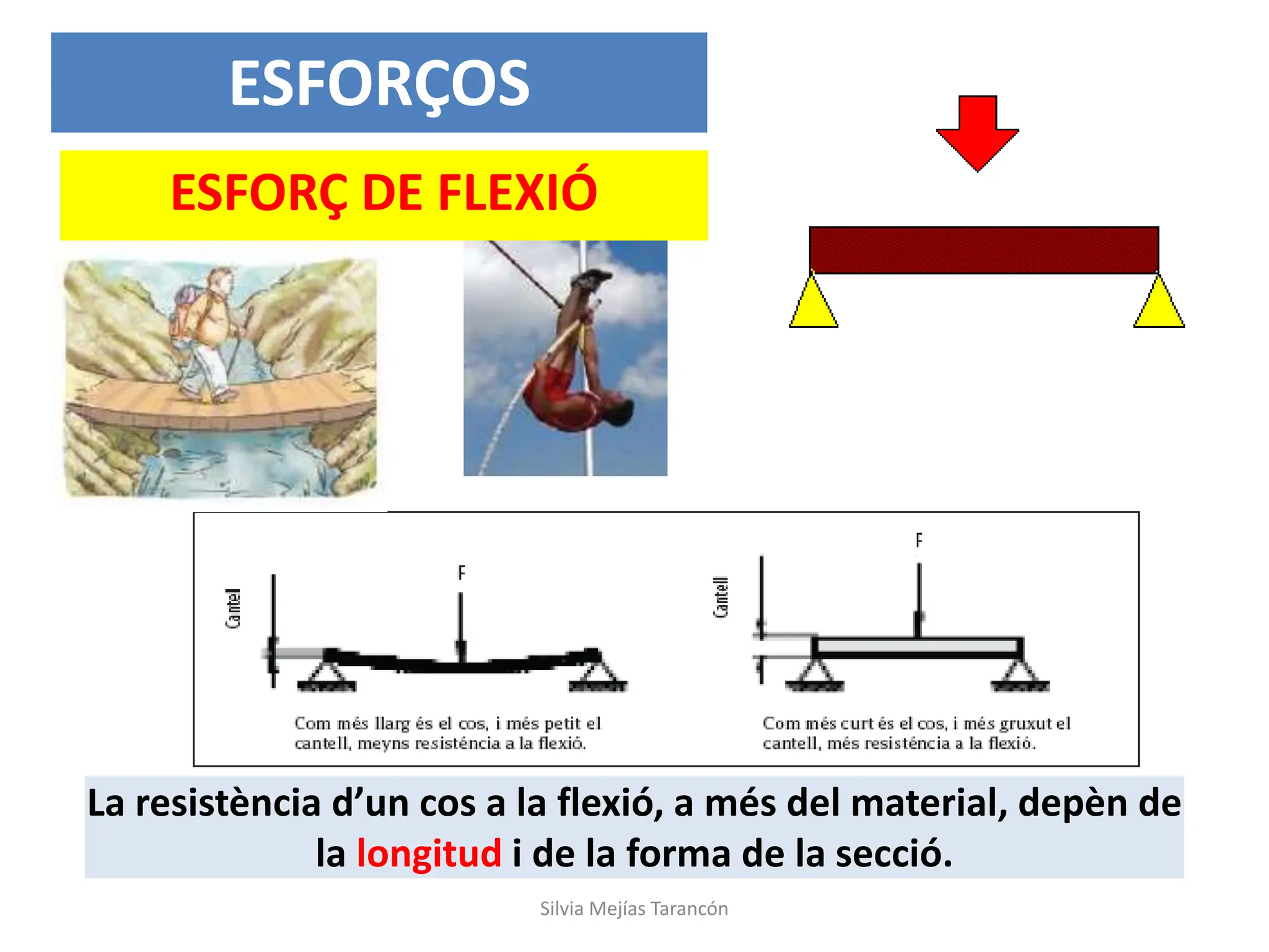 ESTRUCTURES TIPUS PROPIETATS I FORCES. | PPT
