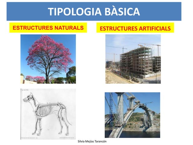 ESTRUCTURES TIPUS PROPIETATS I FORCES. | PPT