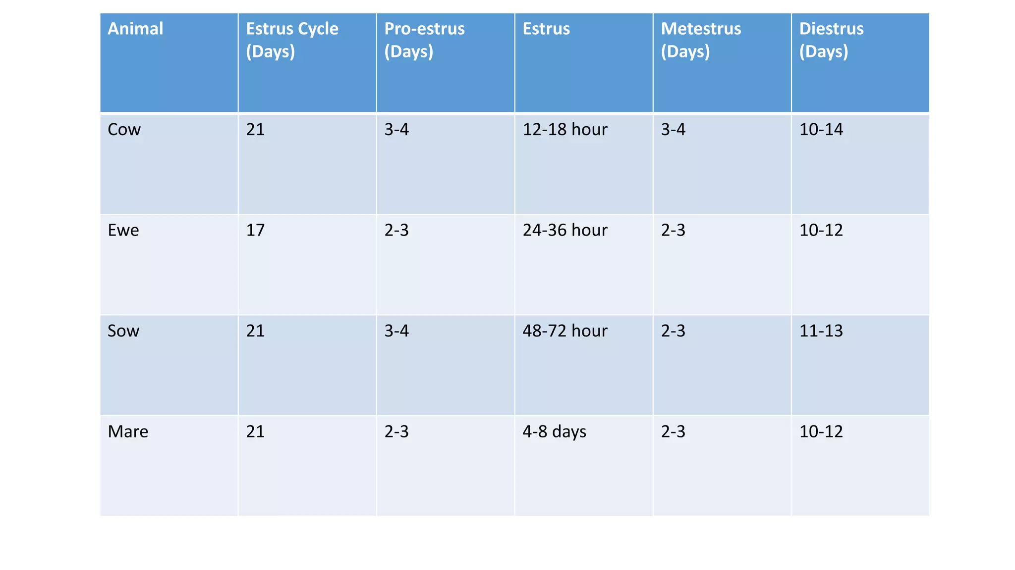 Estrus Cycle and Ovulation in cattle | PPTX
