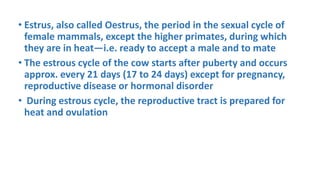 Estrus Cycle and Ovulation in cattle | PPTX