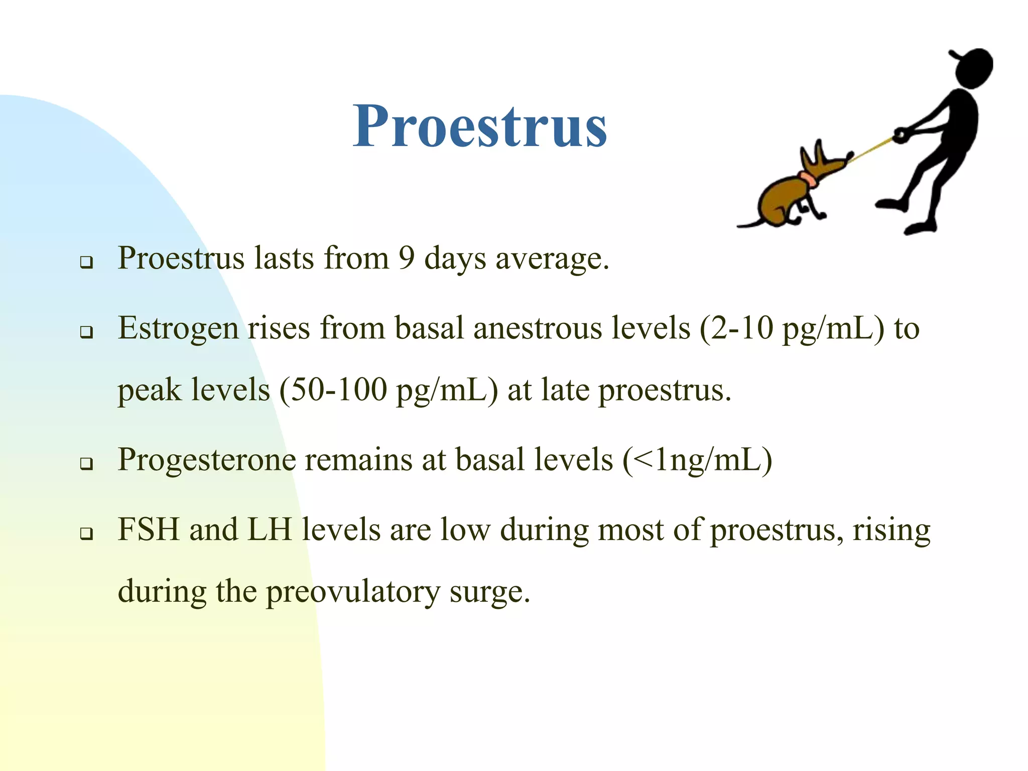 Estrus cycle of bitch | PPTX