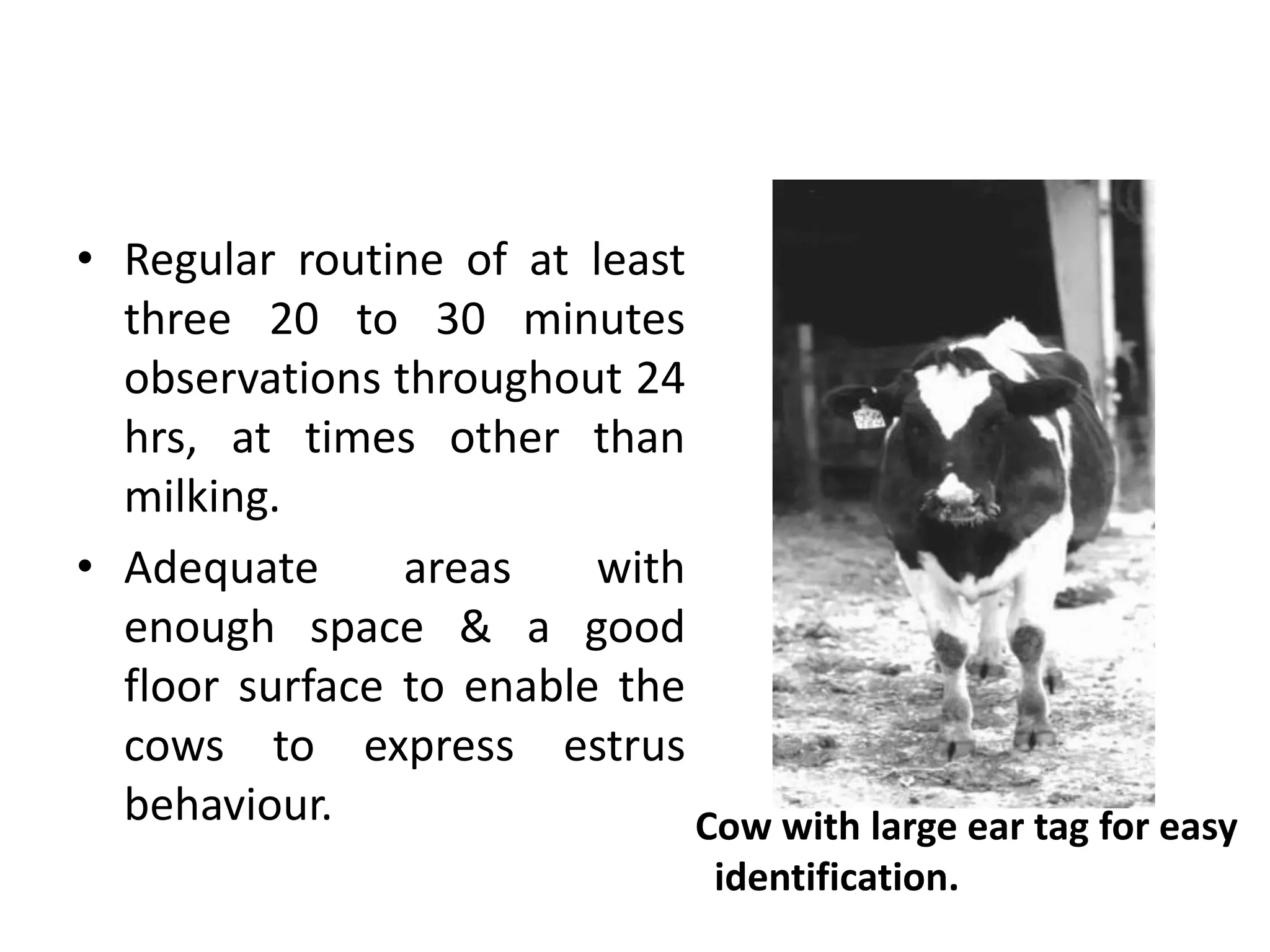 estrus detection aids.pptx