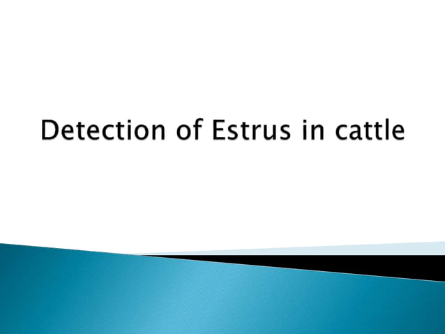 Lecture 2 Estrus Detection In Cattle