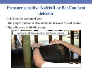 Estrus detection methods and their technichal reasons, in different species of animals | PPTX