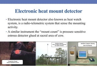 Estrus detection methods and their technichal reasons, in different ...